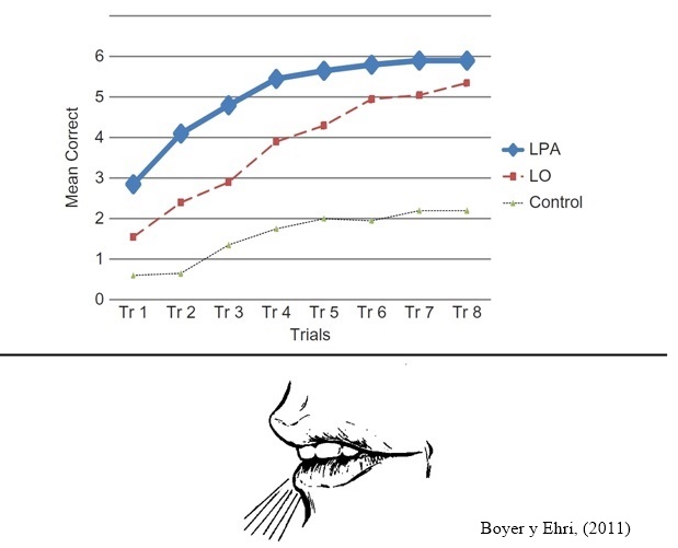 El impacto de las tareas de conciencia fonémica con letras y dibujos de ...
