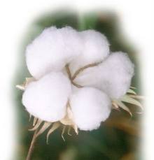 todo tecnologia: Materiales Textiles