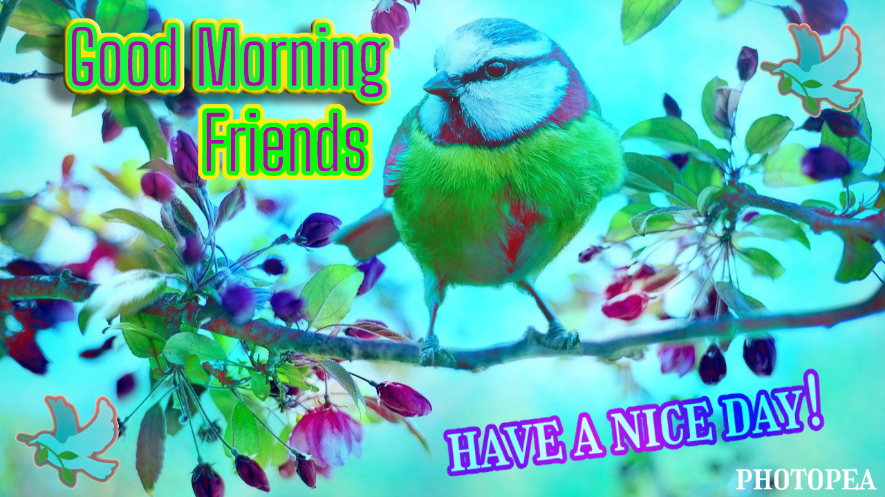 Good Morning Wishes: Good Morning Greeting Wish Pictures including ...