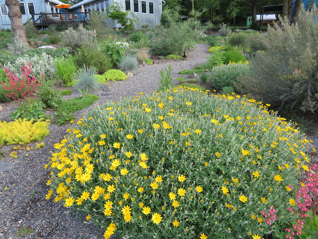 Native Plants of Spring