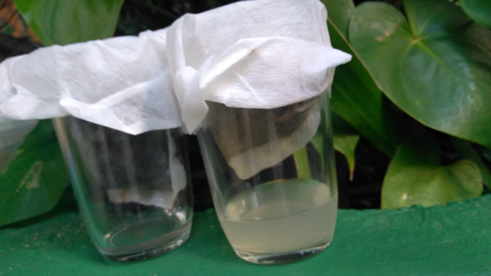 Professora Fernanda: Penetração da água em diferentes tipos de solo ...