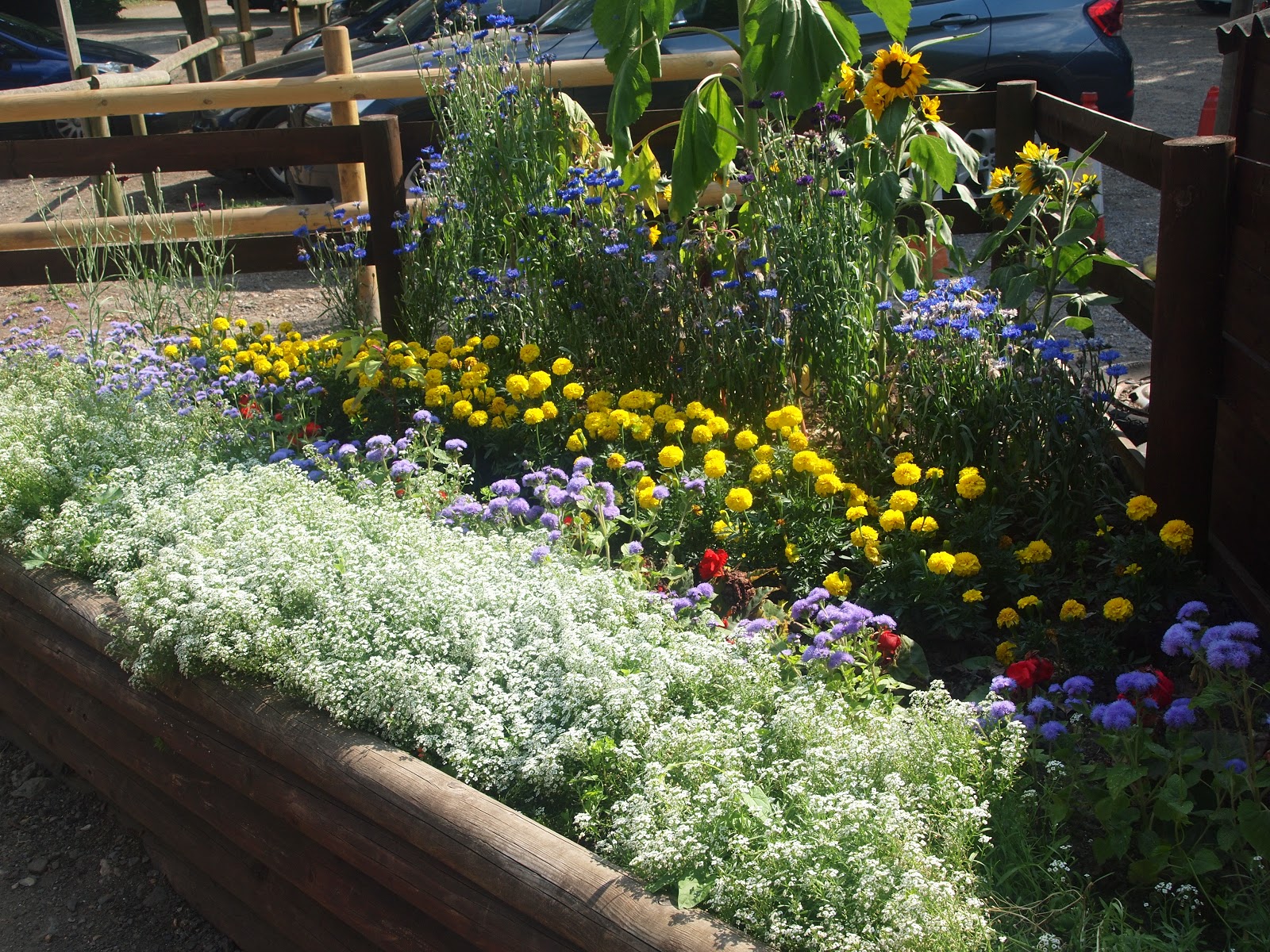 Mrs Bishop's Bakes and Banter: Family Days Out: Godstone Farm (Surrey ...