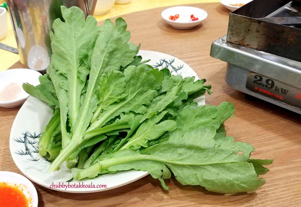 Chubby Botak Koala - Singapore Food Blog, Travel and Lifestyle: Ting ...