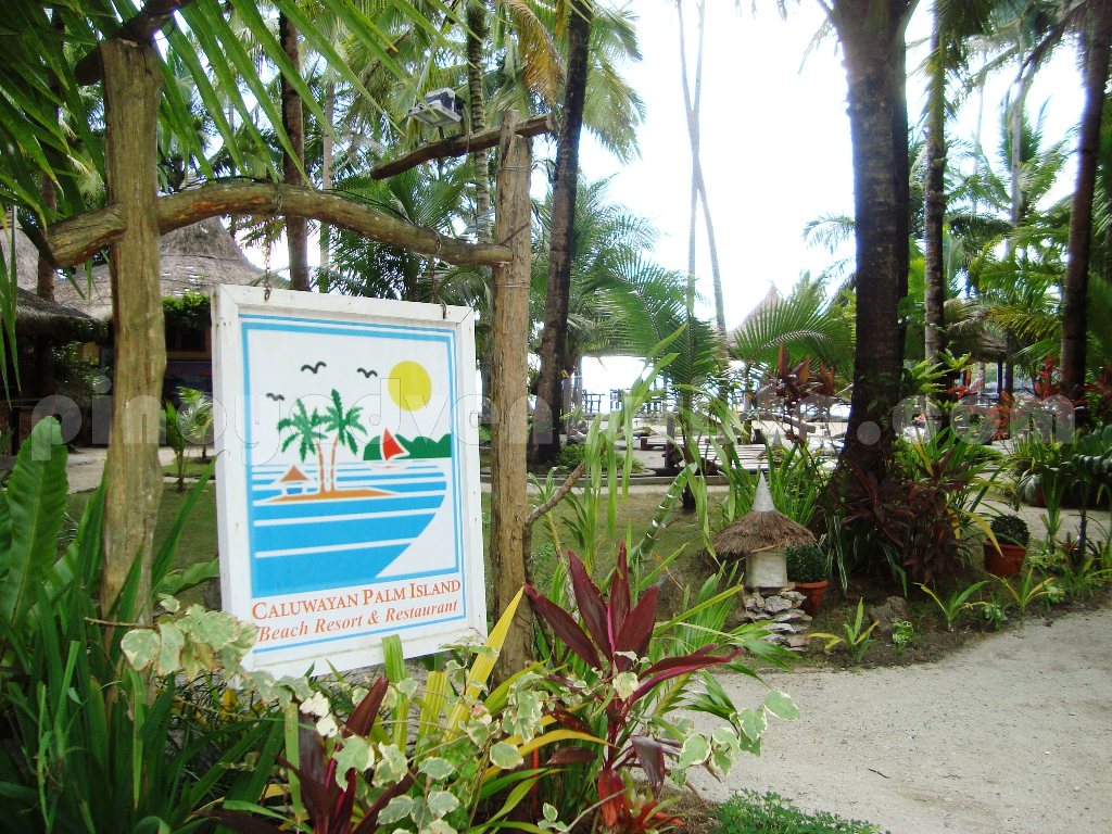 RESORTS IN SAMAR: Caluwayan Palm Island Beach Resort, One of Samar's ...