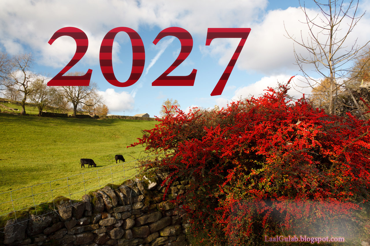 Happy New Year 2027 Wallpapers