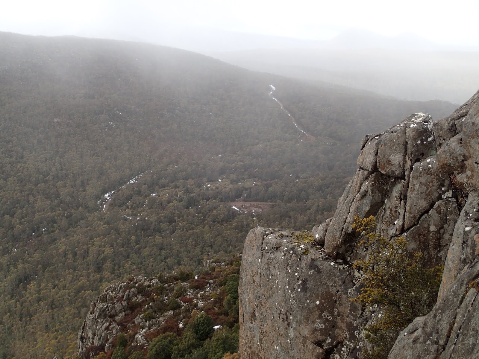 Mount Charles from White Timber Trail | Hiking South East Tasmania