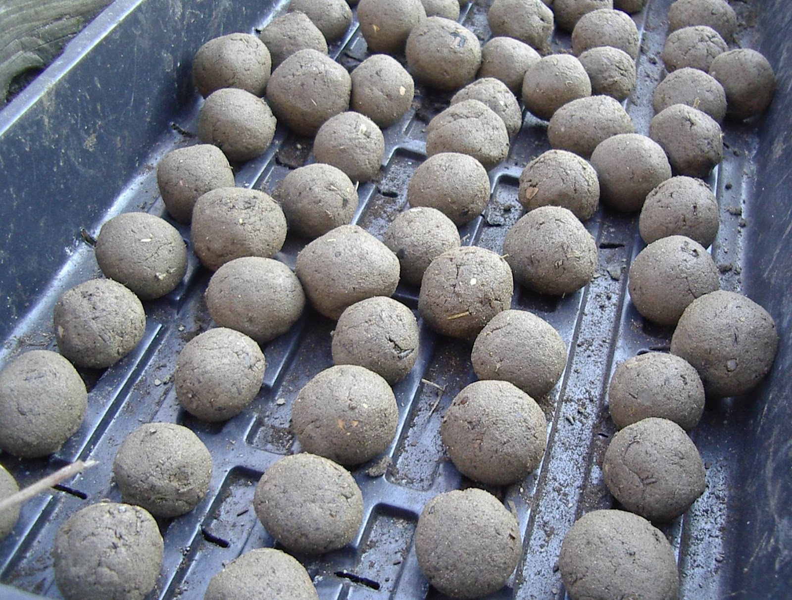 Little City Farm: Make your own: Permaculture Seed Balls