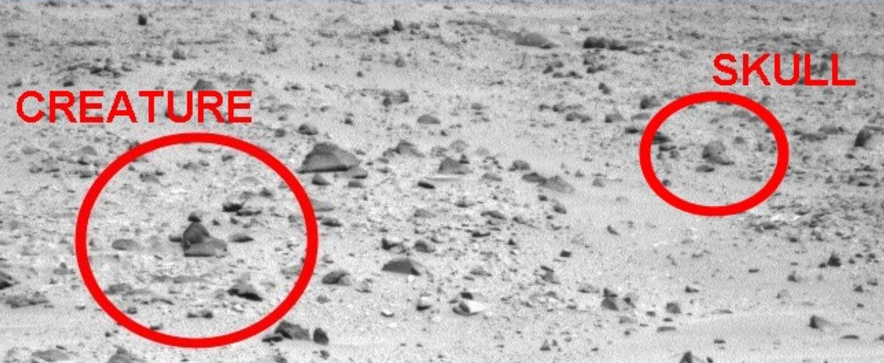 Strange Creature and Skull found on Mars Curiosity Photograph - July 16 ...