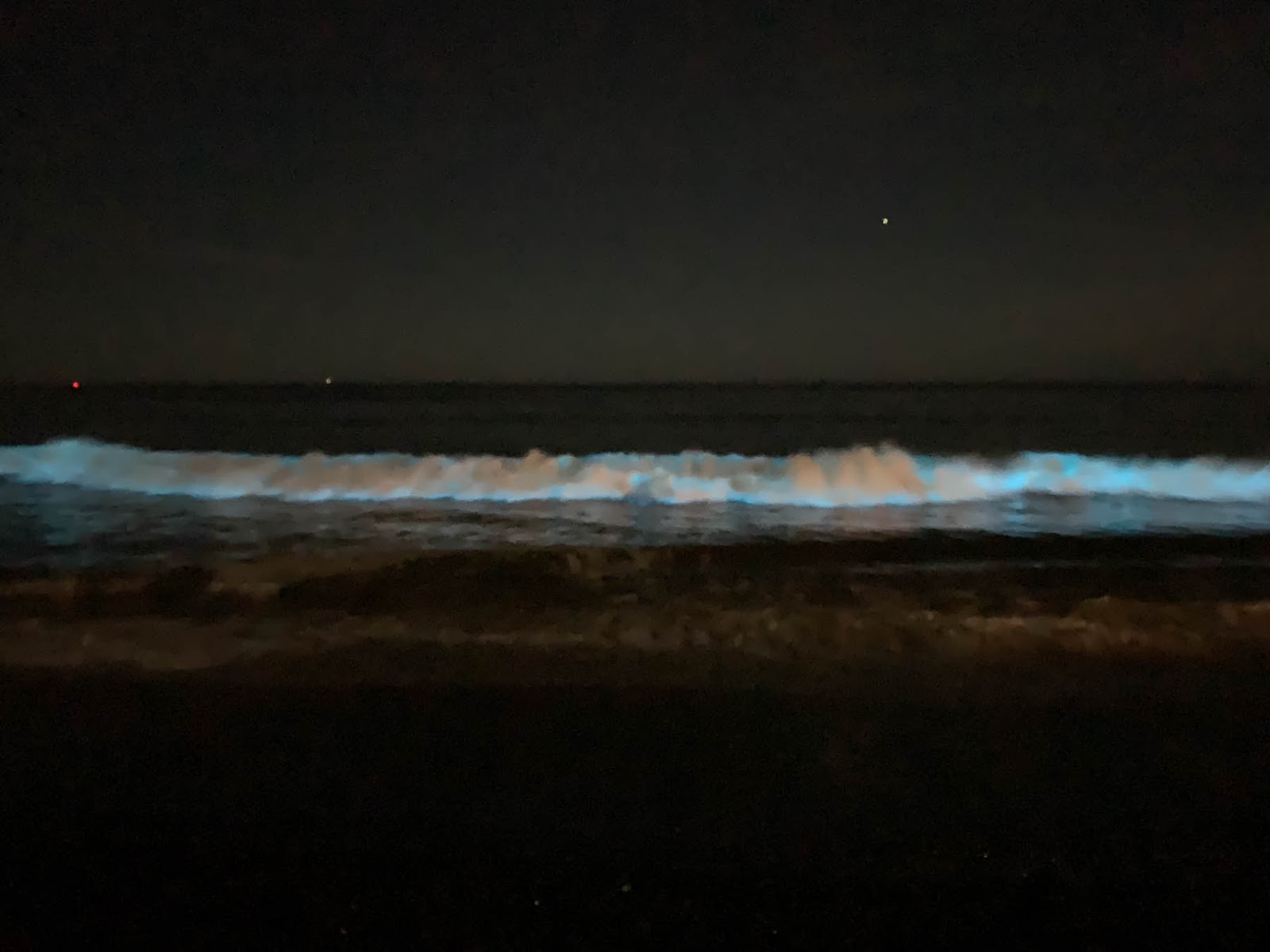 Things To Do In Los Angeles: Red Tide, Bioluminescent Rage