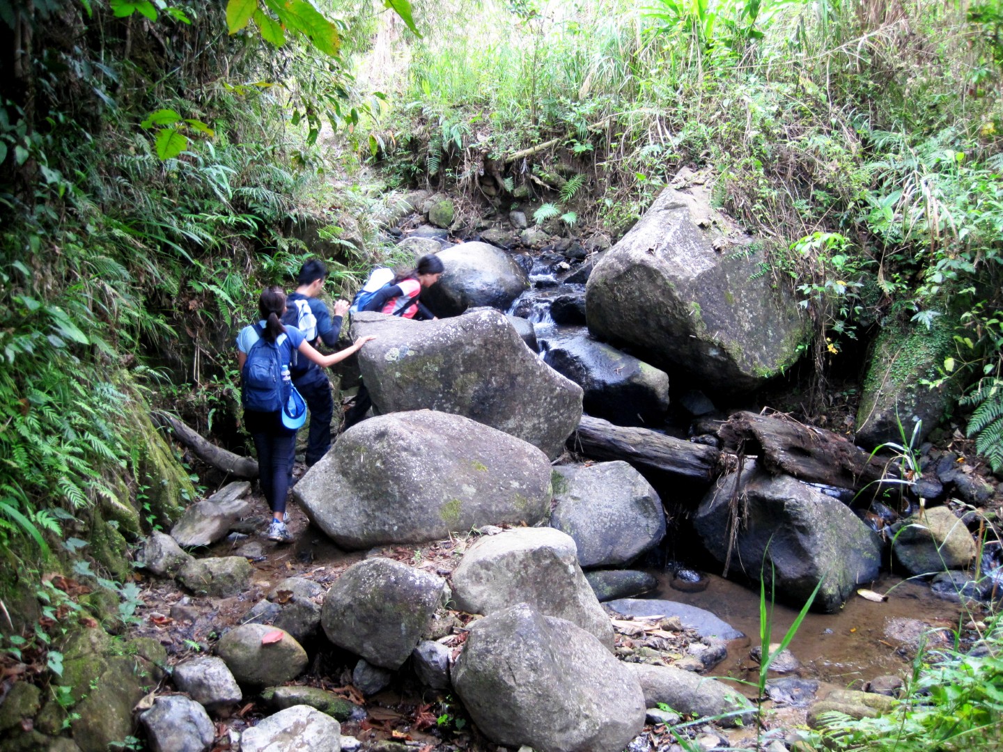 Nueva Vizcaya's Amazing Mt. Palali