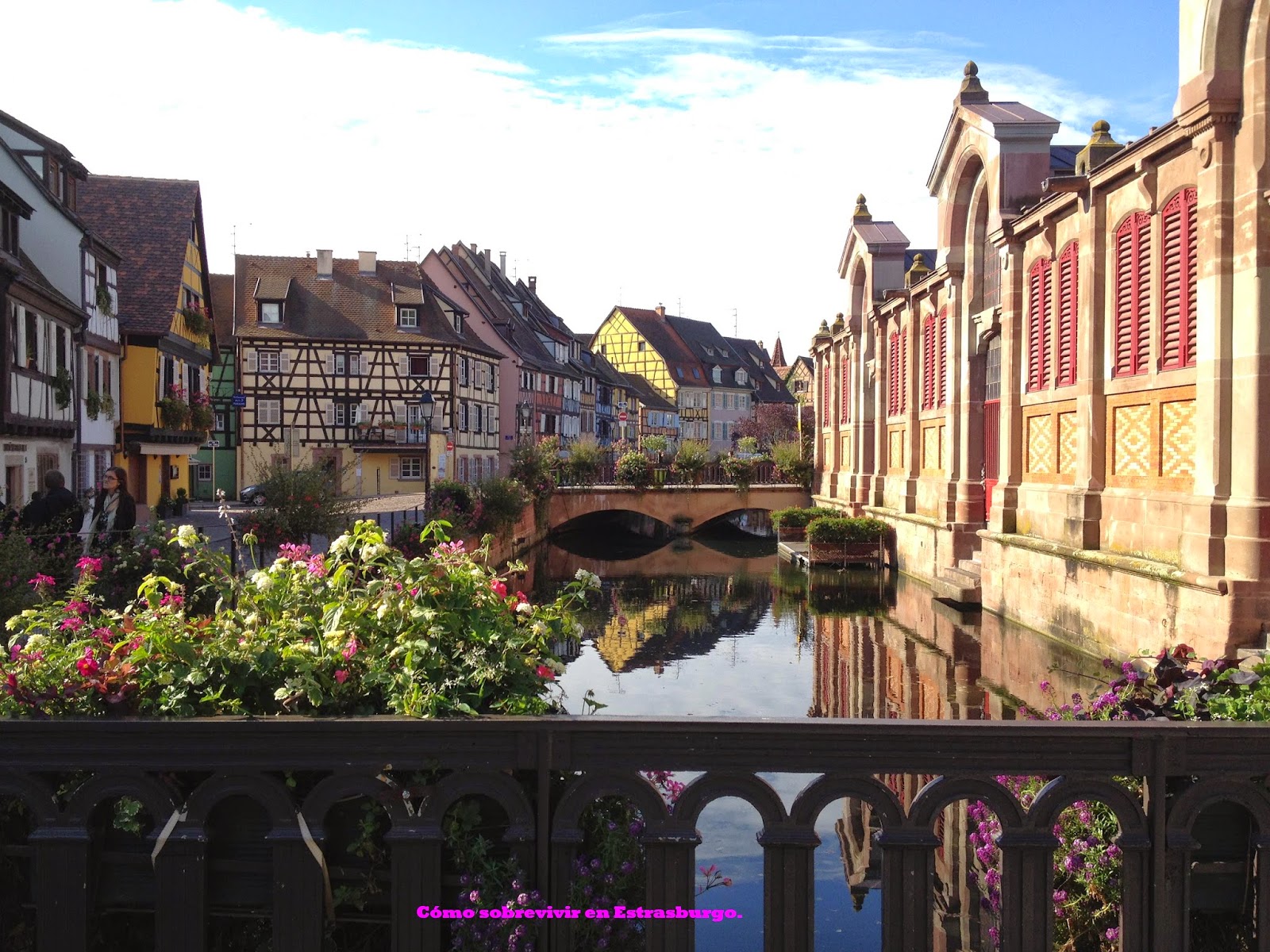 Cómo sobrevivir en París: Turismo en Colmar.
