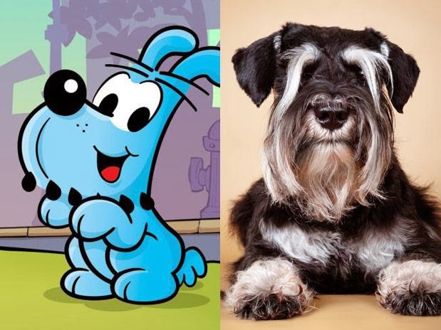 A vida de um Scottish Terrier: O Bidú é um Schnauzer ou um Scottish ...