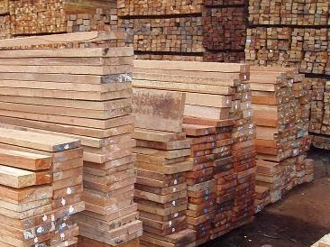 Jenis-Jenis Pohon Meranti, Cara Pembibitan, Pemupukan dan Perawatan ...