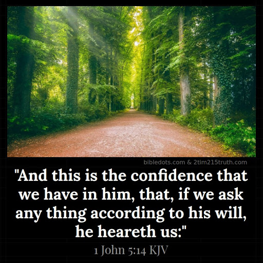 2 Timothy 2 15 Truth Verse Of The Day 1 John 5 14 KJV