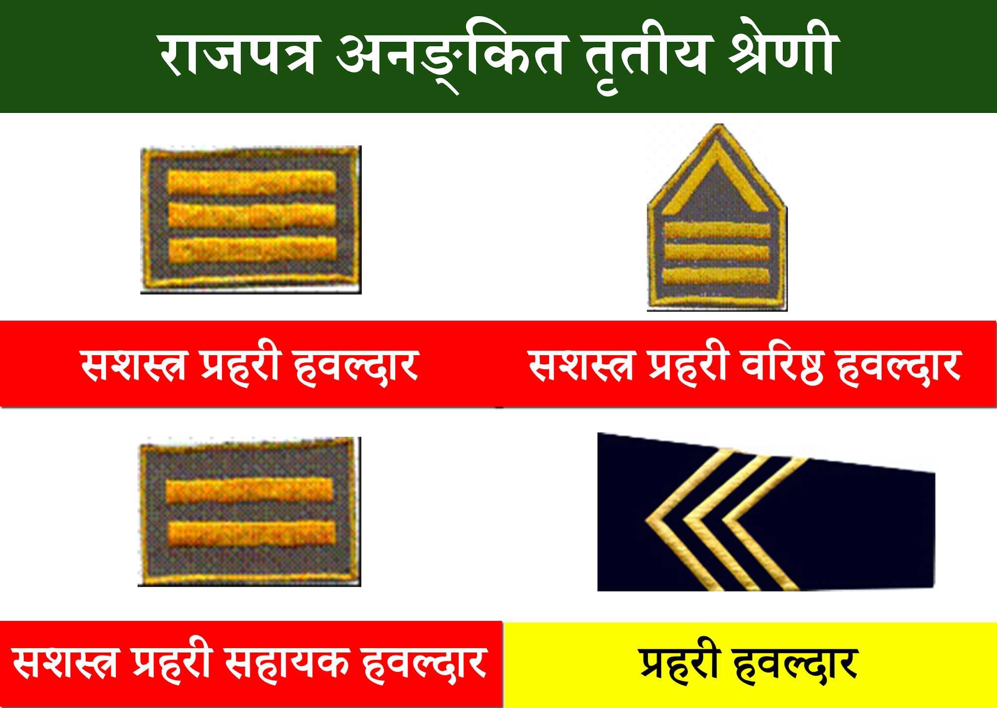Nepal Police and Armed Police Force Rank Comparison | Chetan TM