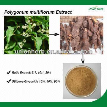 Polygonum multiflorum root extract as a potential candidate for ...