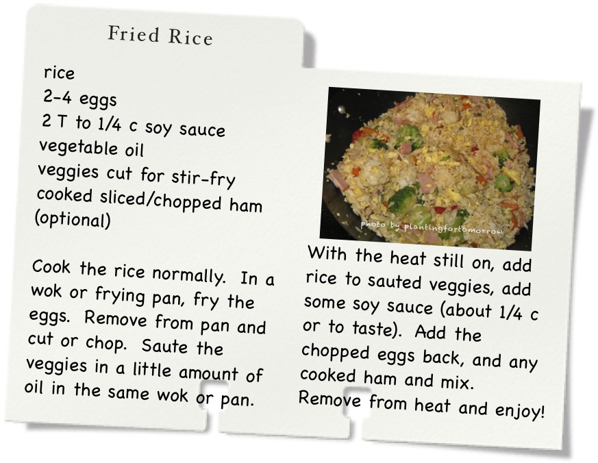 I'm still planting for tomorrow: Taste Test Tuesday: Fried Rice