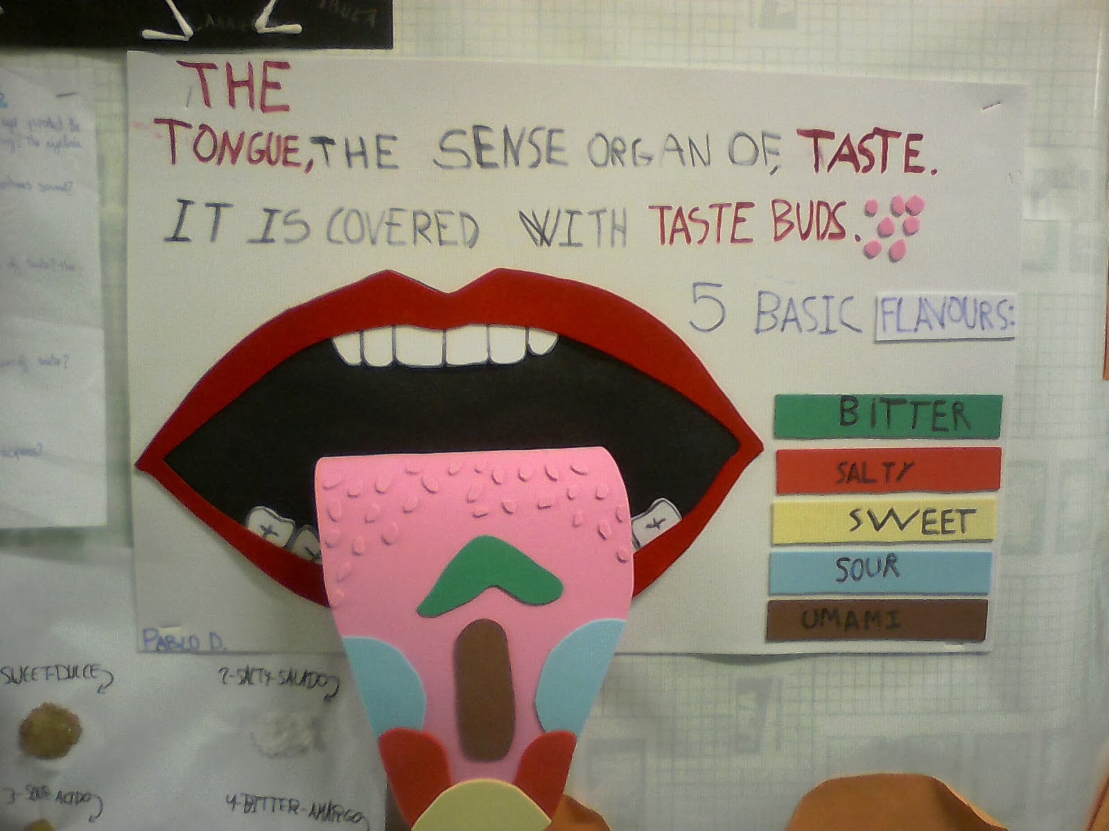 For Primary Kids: 3rd A Students' Projects