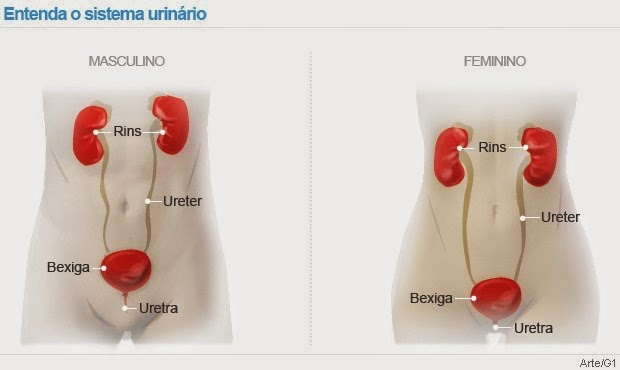Blog Do Espaço Físio Pilates Fisioterapia é Uma Das Opções De