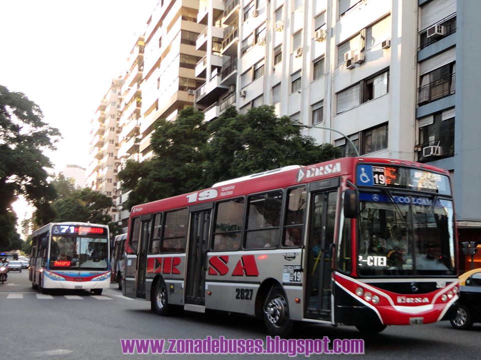 Colectibus - Zona de Buses: LINEA 19