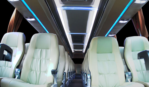 DISCOVERY ~ WORLD BUSES