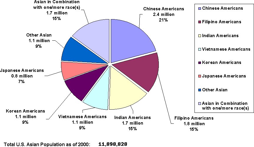 Asian Diaspora, United States