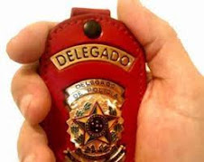 DANTAS.PA: Símbolos do Estado do Pará