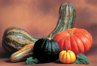 Mudar Curar e Comer: Você sabia que… A abóbora