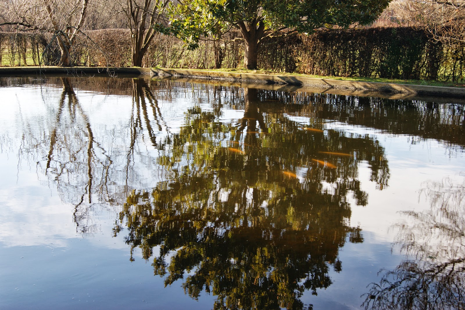 On The Convict Trail: The Salmon Ponds
