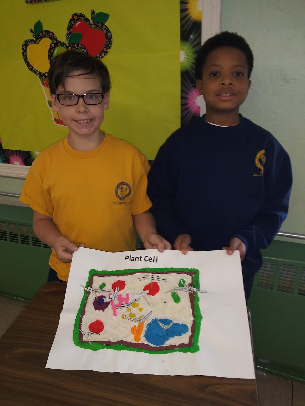 Terrific Third Graders: Plant Cells