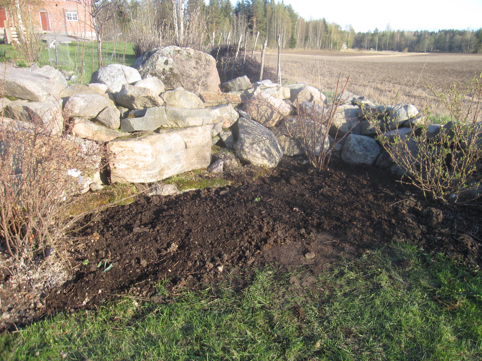 Päivänpesän elämää: Tulija ja lähtijä