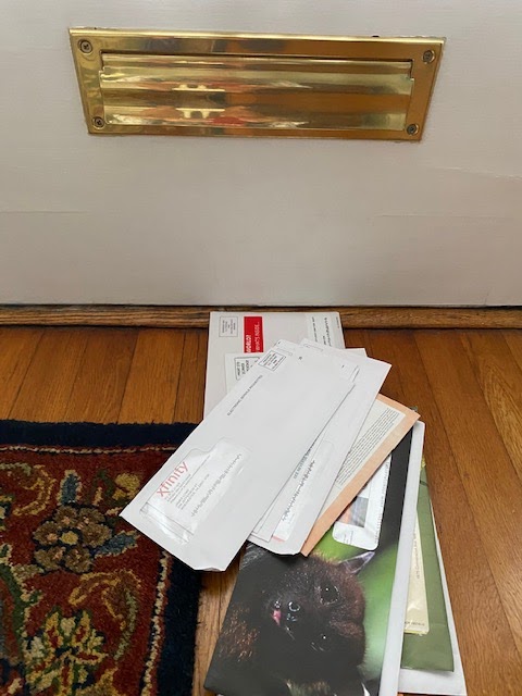 Three Savvy Broads: 263 Keep the mail coming!