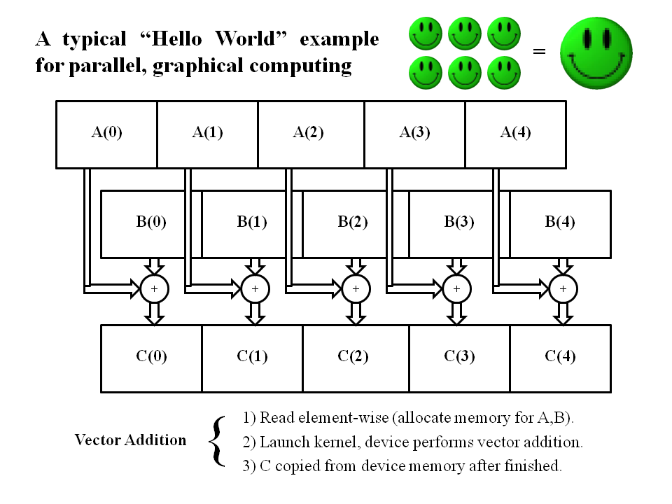 Synthetic Daisies: Scenes from a graphical, parallel biology (Presentation)