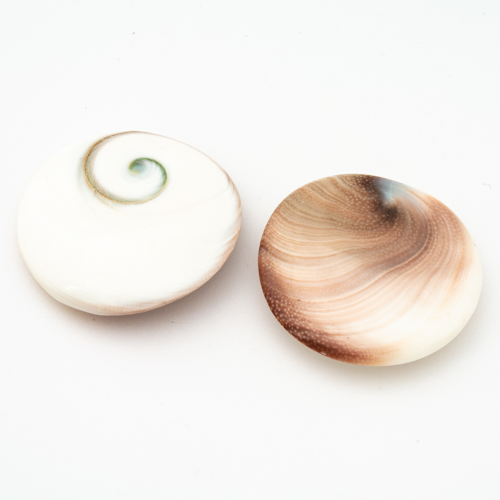 Lose Sight Of Your Shore