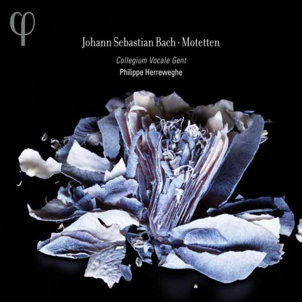 table d'écoute: 9 décembre 2012 - Johann Sebastian Bach, Motets bwv 225 ...