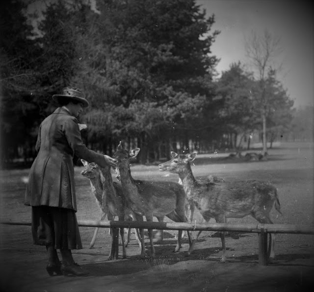 Simple Life in the Early 20th Century Through Amazing Found Photos ...