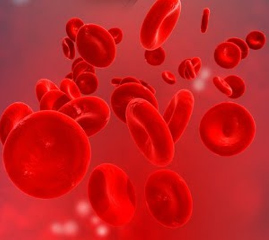 Erythrocytes (red blood cells) ~ Smart Education