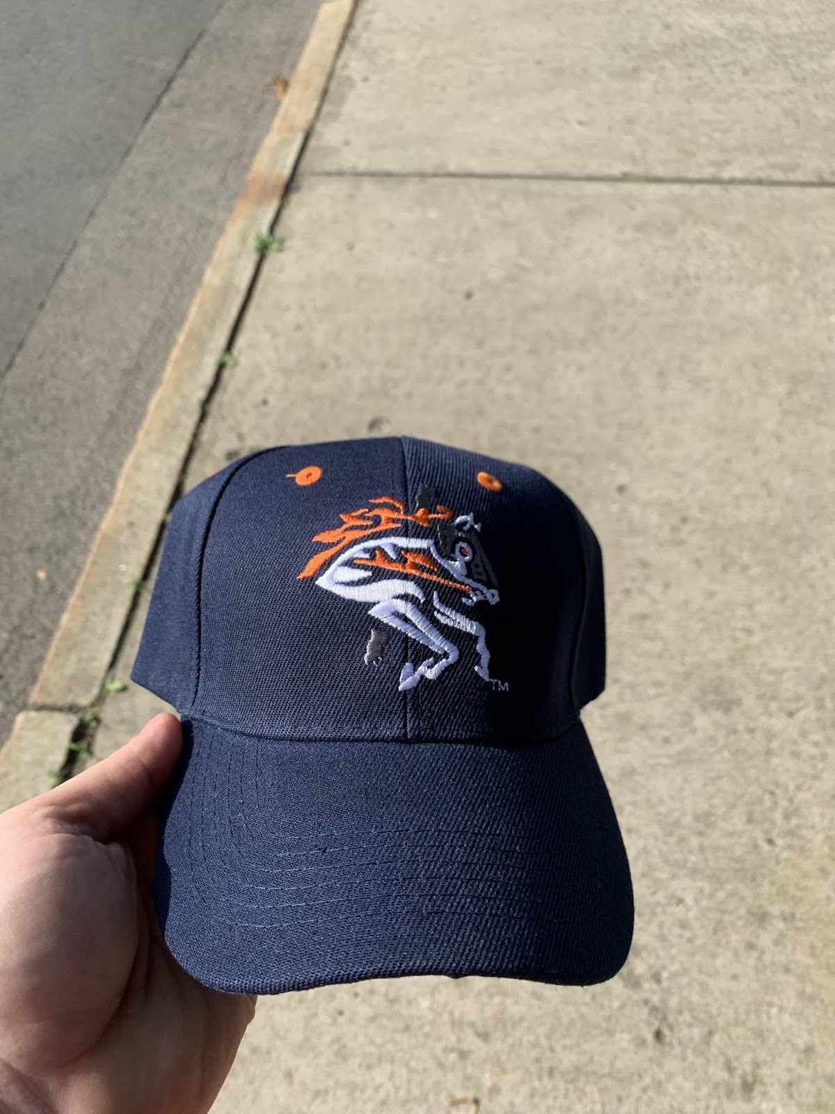 TheMediagoon.com: The Binghamton Rumble Ponies Game