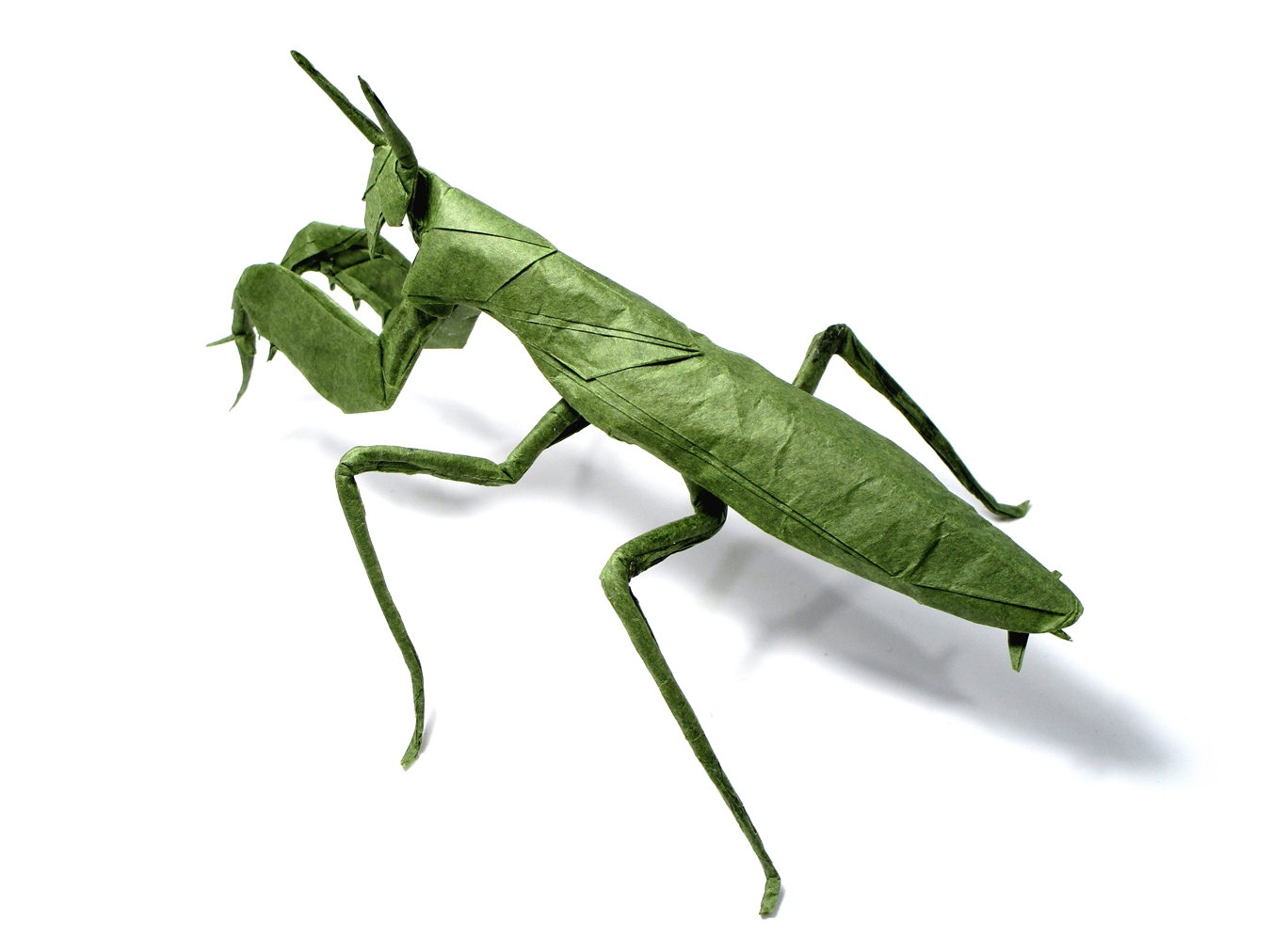 Mariano-Mi mundo el Origami: Boxer Mantis