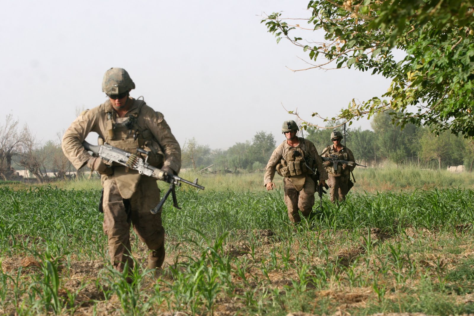 Snafu 1st Battalion 5th Marines In Sangin