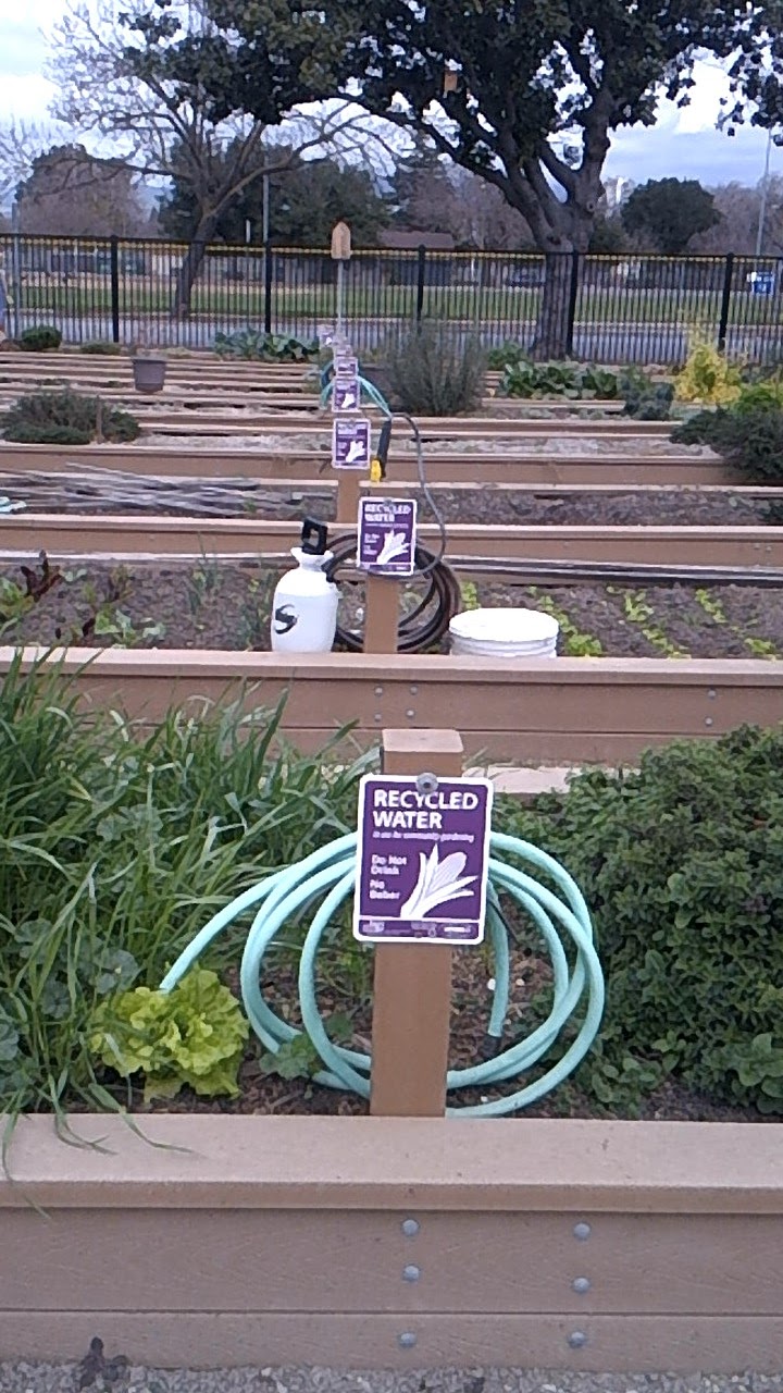 Discovering new ideas in USA Innovation - LGMA Exchange : Community ...