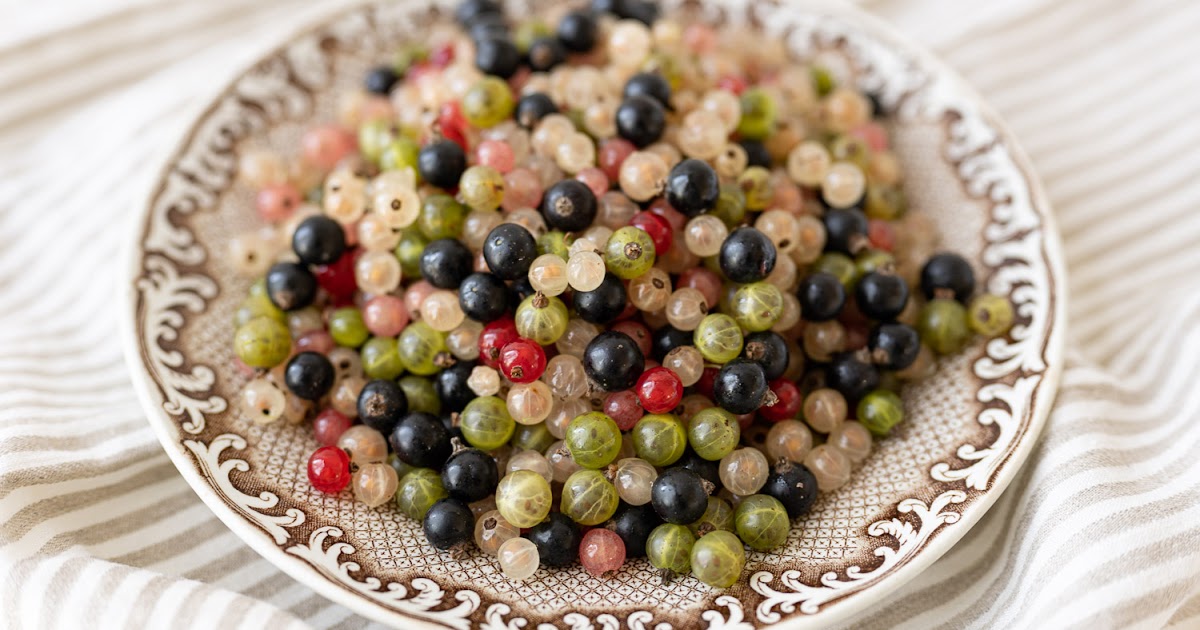 HERNEPENSASKUJANNE: Viiden sortin viinimarjat