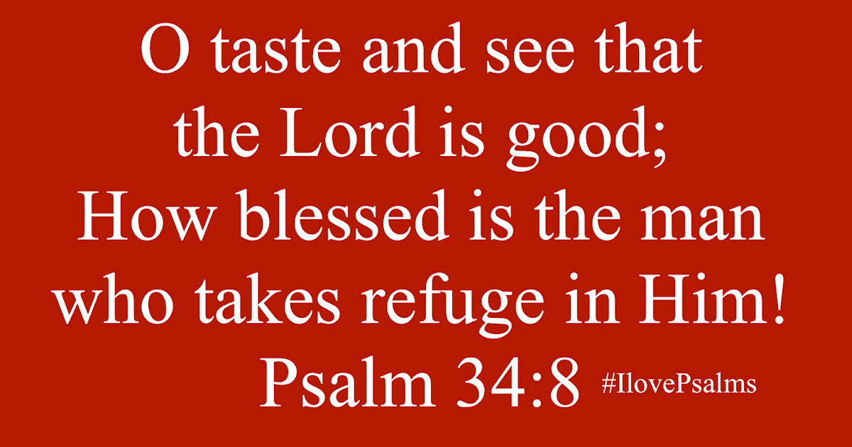 Psalm 34 Verse 8 Book MoiraArafat psalm-34-verse-8-book-moiraarafat