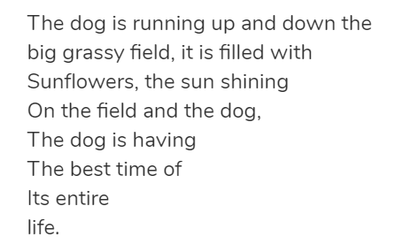 My Life as a Literacy Educator