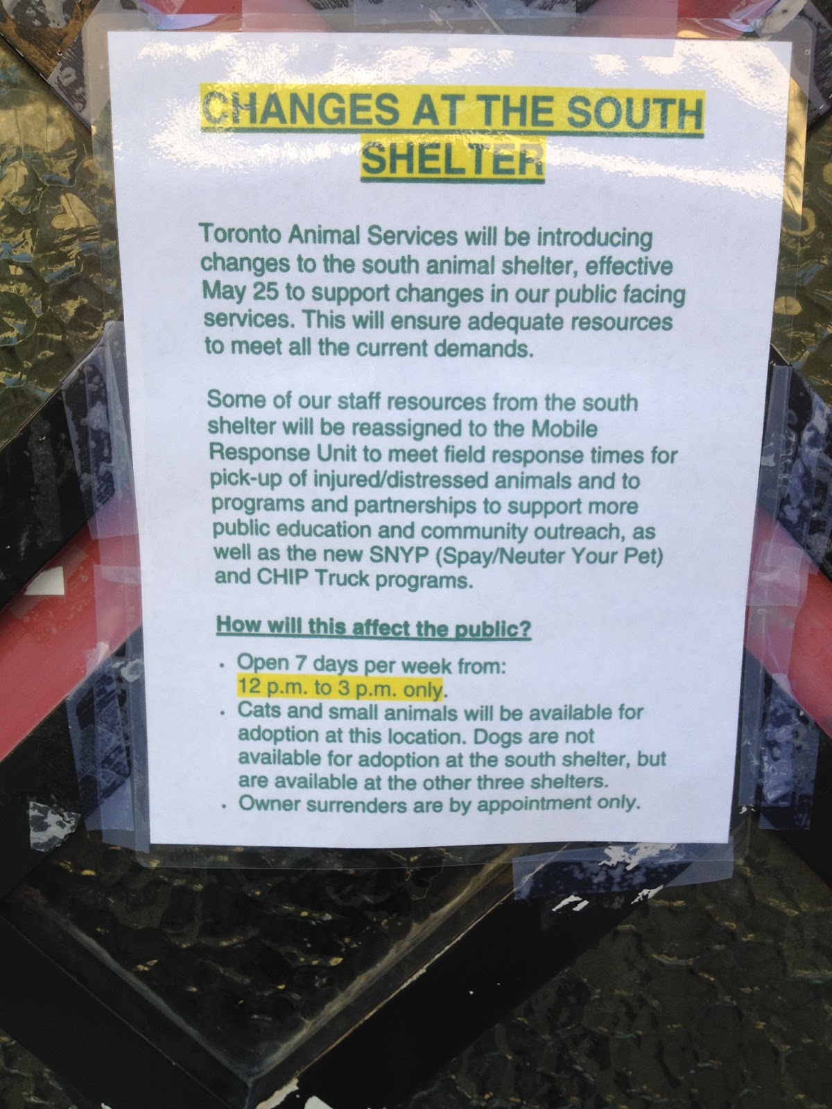 Pound Dogs Toronto Animal Services - dog adoption - animal shelter