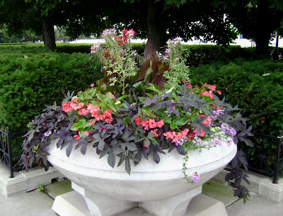 Prairie Rose's Garden: Fun in Chicago
