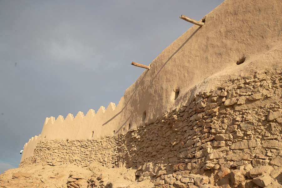 Birds of Saudi Arabia: Zaabal Castle – Sakaka