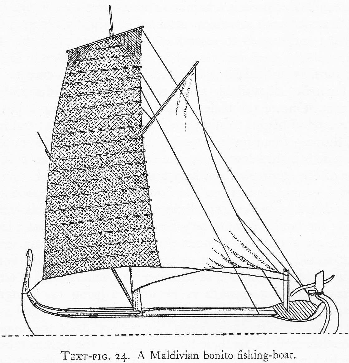 Indigenous Boats: Bonito Fishing Boats in Maldives