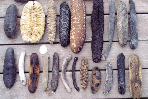 K-link Info dan Kami Menyediakan Produk - Produk K-Link: APA ITU GAMAT ...