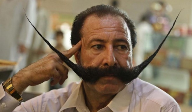 8 Gambar Misai Yang Lucu Dari Seluruh Dunia